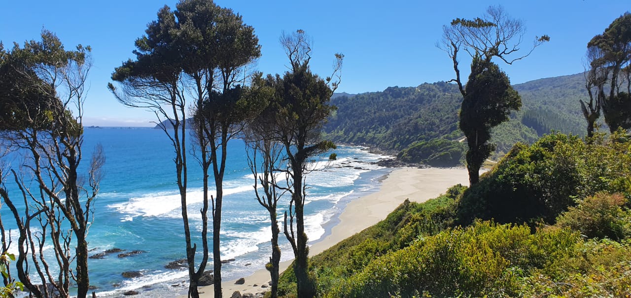 Playas del sur de Chile: mis vacaciones recorriendo Manquemapu