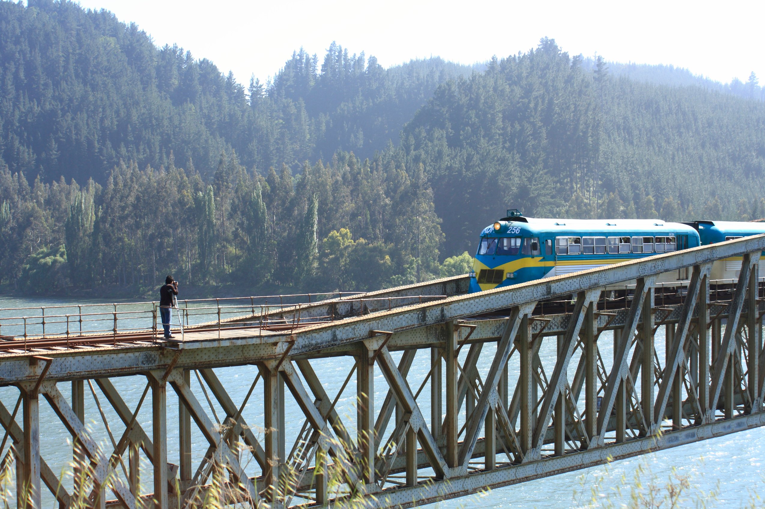 Región del Maule: cuna de tradición, enoturismo, aventura y naturaleza